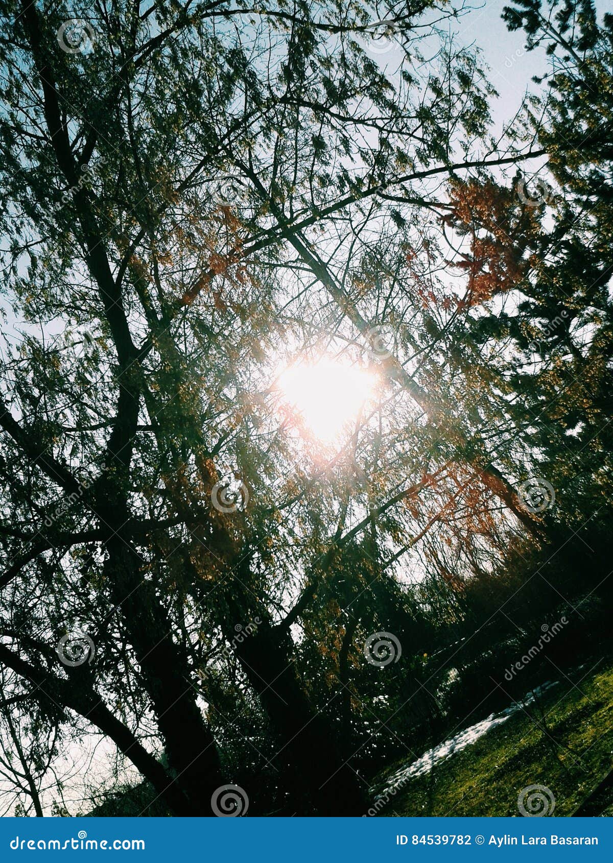 Warm sunshine stock photo. Image of sunset, sunshine - 84539782