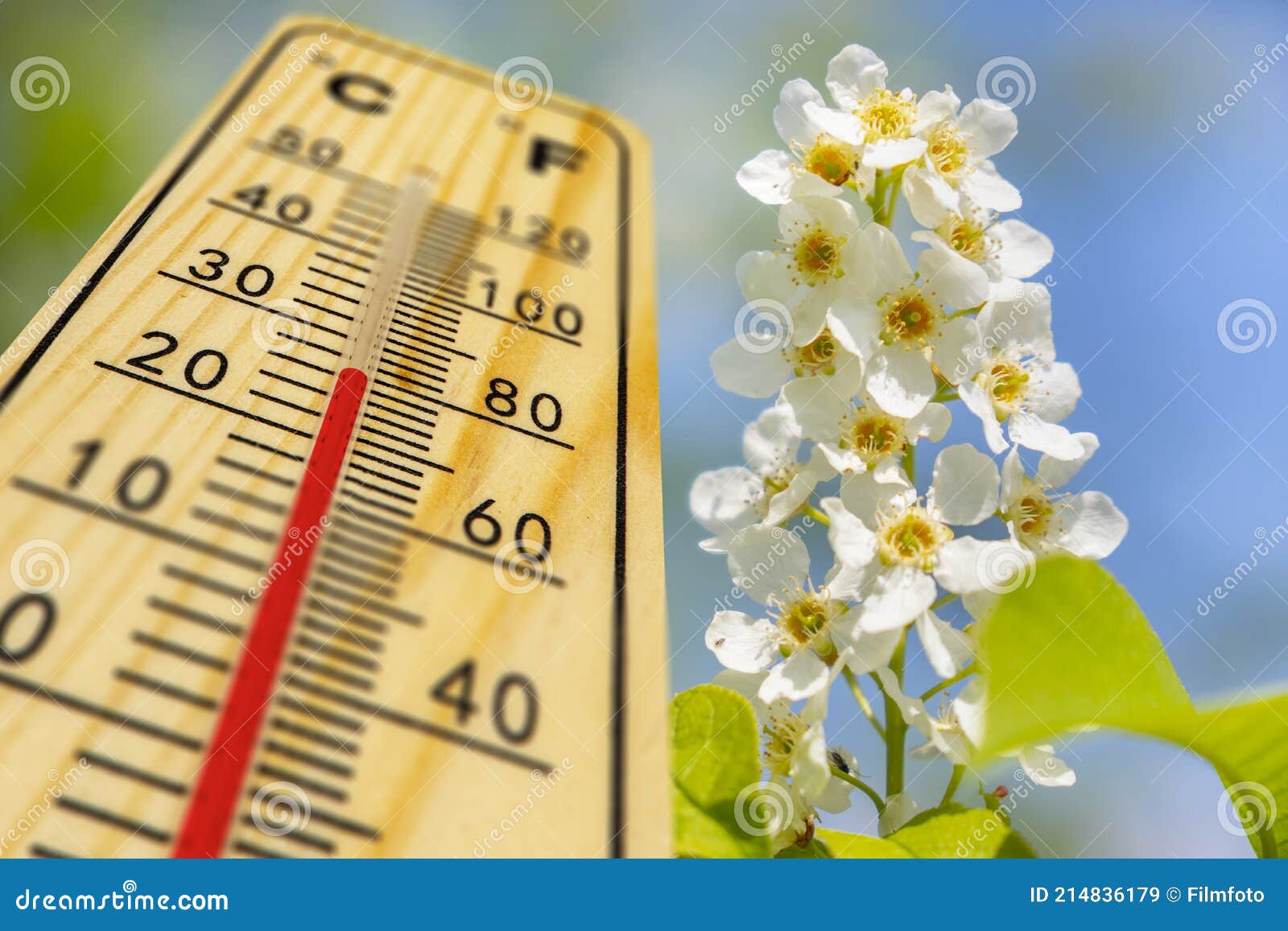 Warm Temperature on Thermometer at Springtime Stock Image - Image of ...