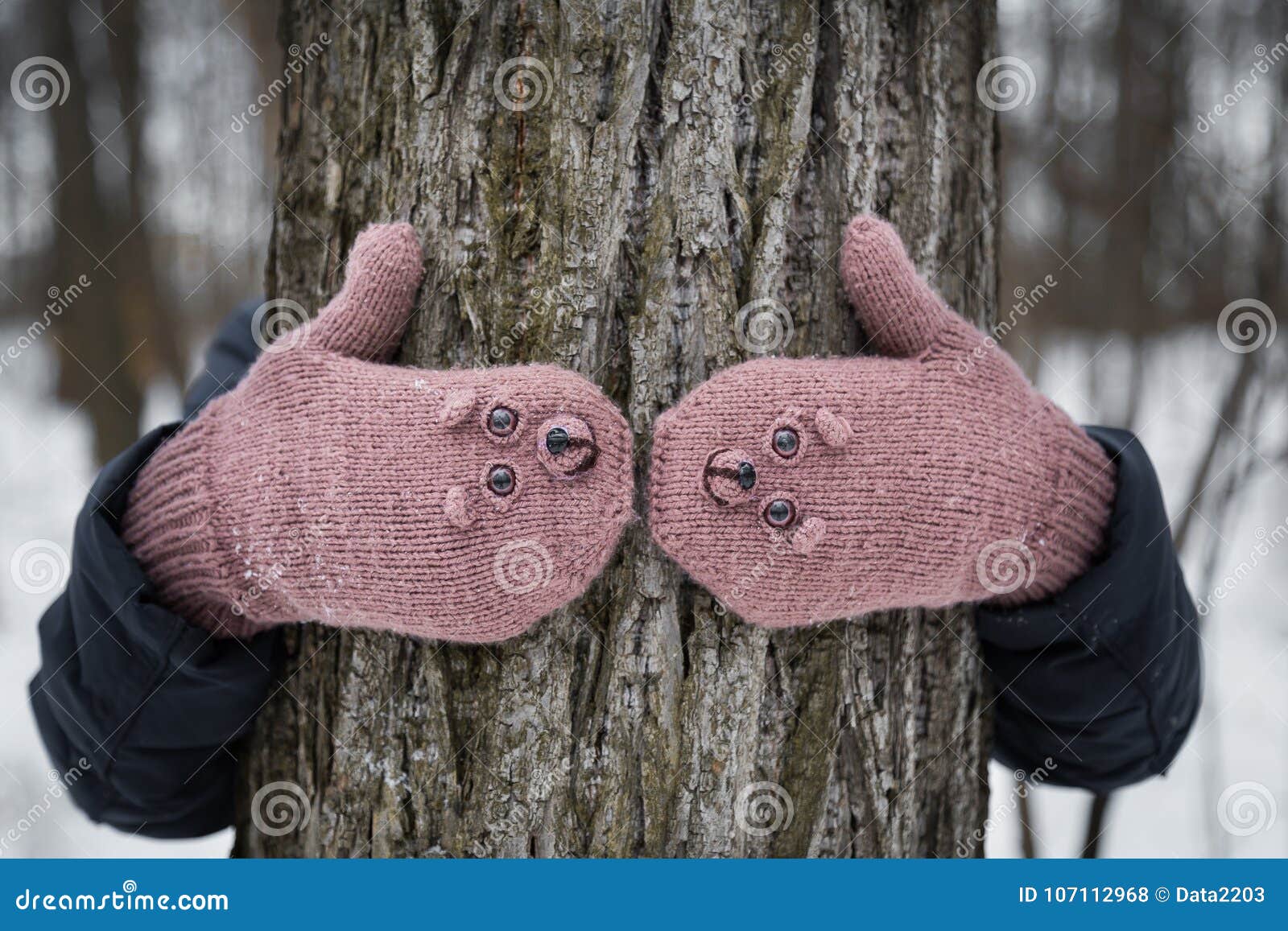 Warm Winter Knitted Mittens Stock Photo - Image of woolen, warm: 107112968