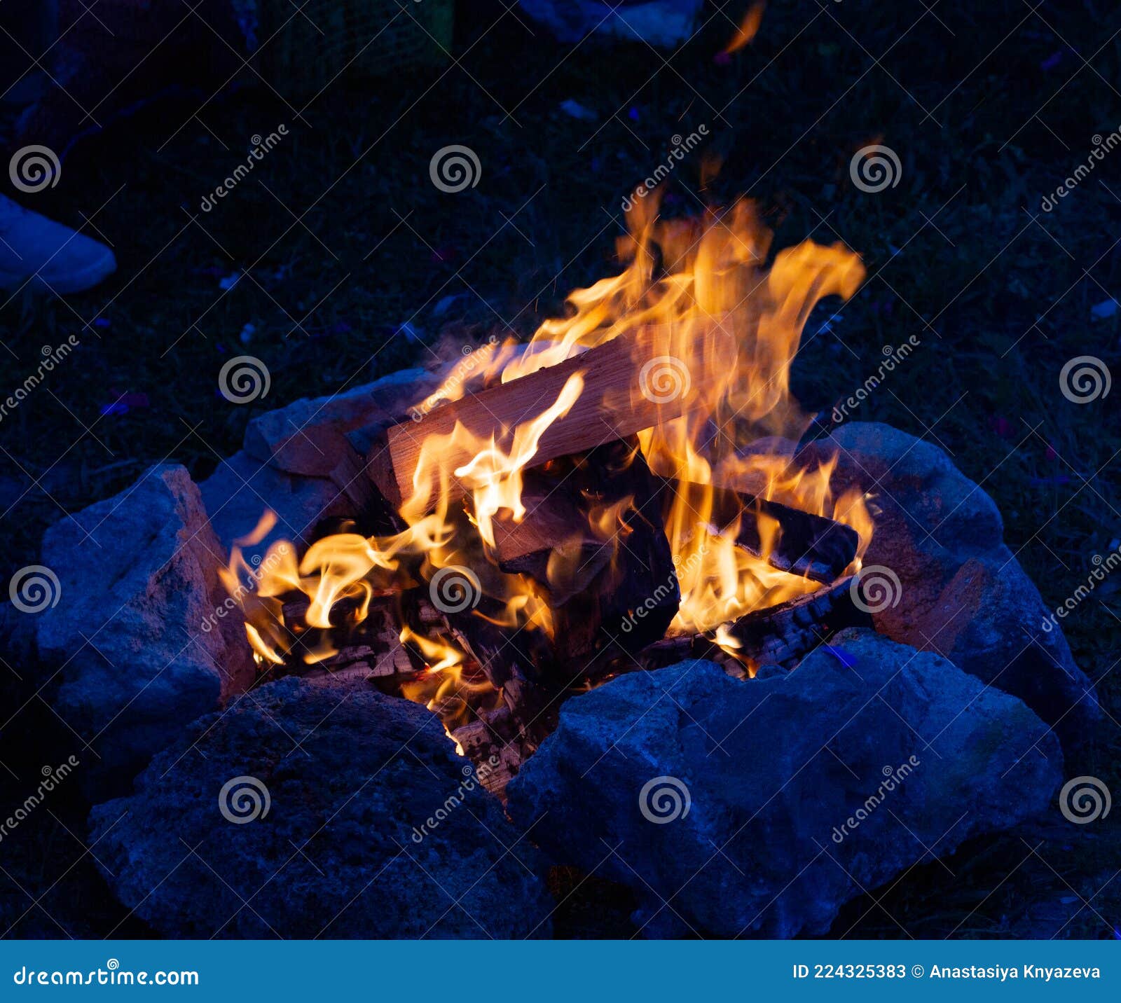 Fire Spring stock image. Image of night, quail, campfire - 224325383
