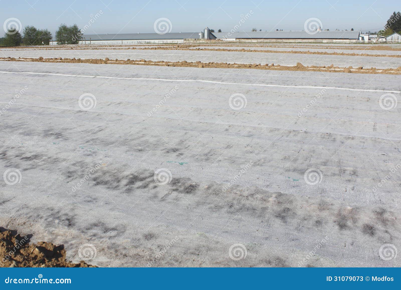 Warming the Soil-2 stock image. Image of acreage, planting - 31079073