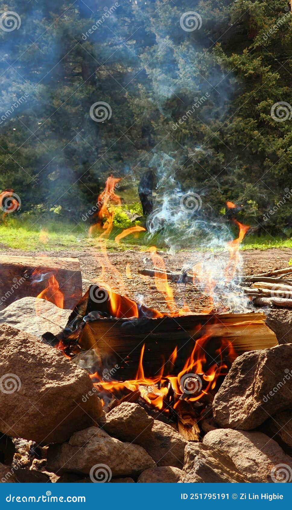 Warmth of a camp fire stock image. Image of wood, nature - 251795191