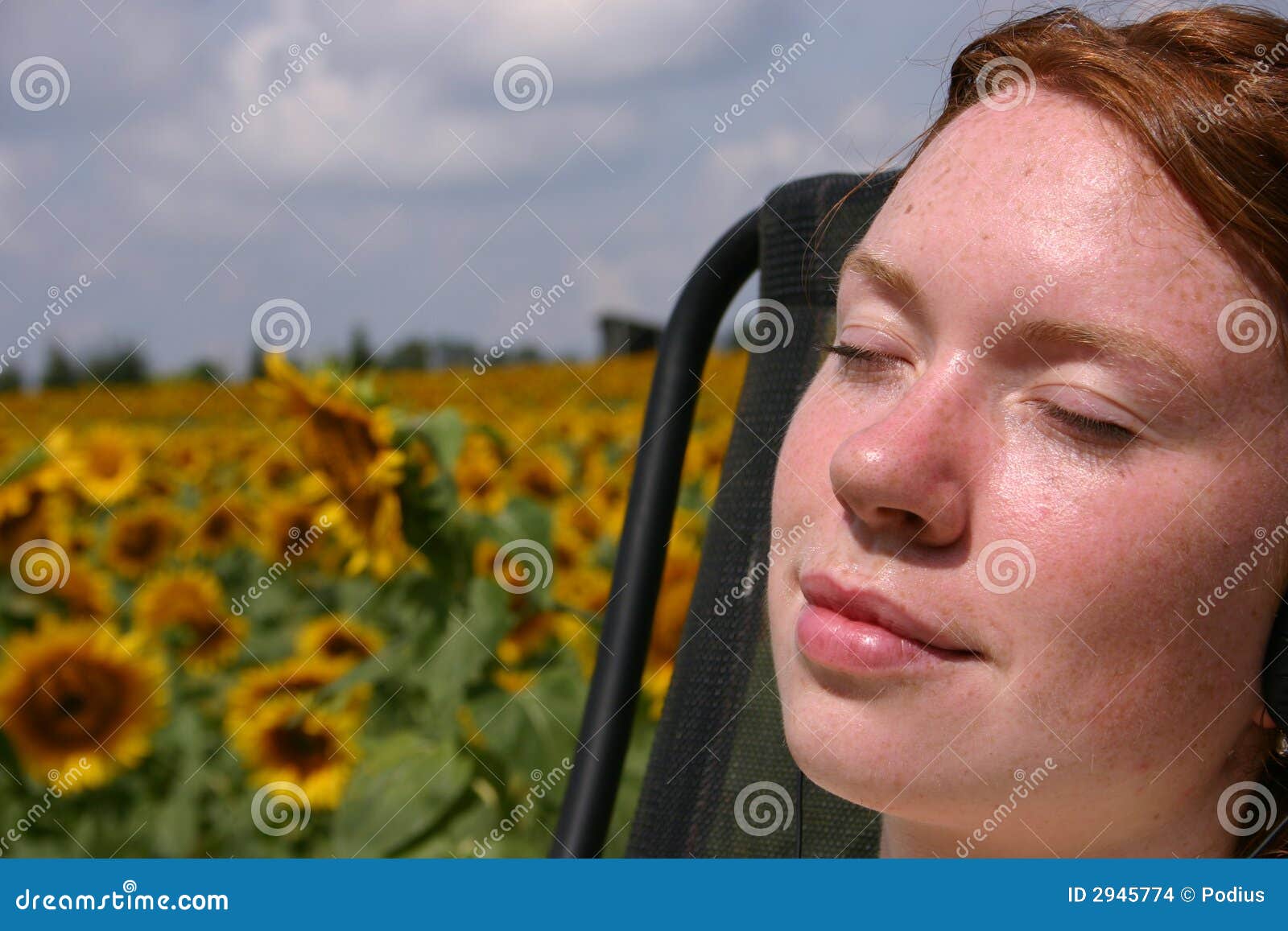 Warmth Of The Sun Picture. Image: 2945774