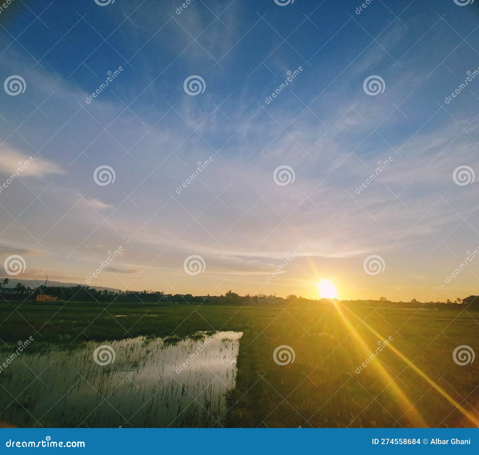 The Warmth of the Sun and the Fresh Air of the Morning Stock Photo - Image of morning, warmth ...