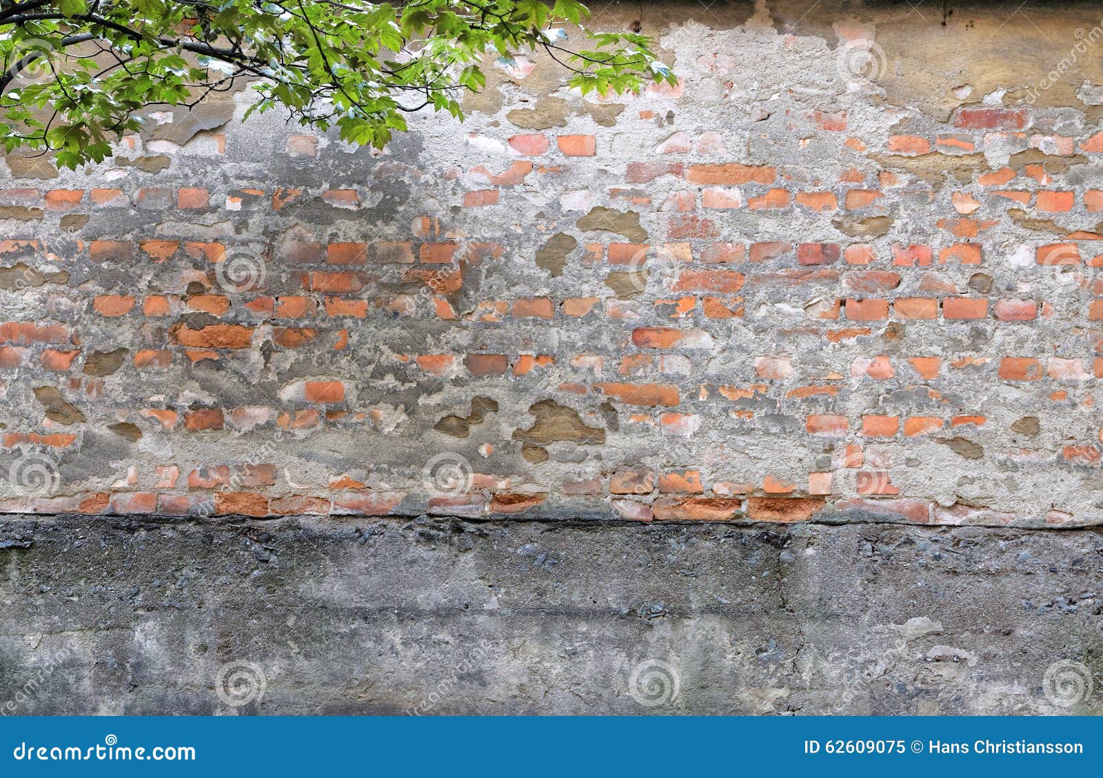 Warn brick wall and leafes stock image. Image of stability - 62609075