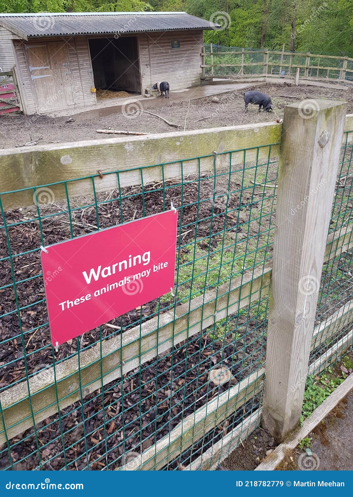 Warning these Animals May Bite Sign. Stock Image - Image of bite ...