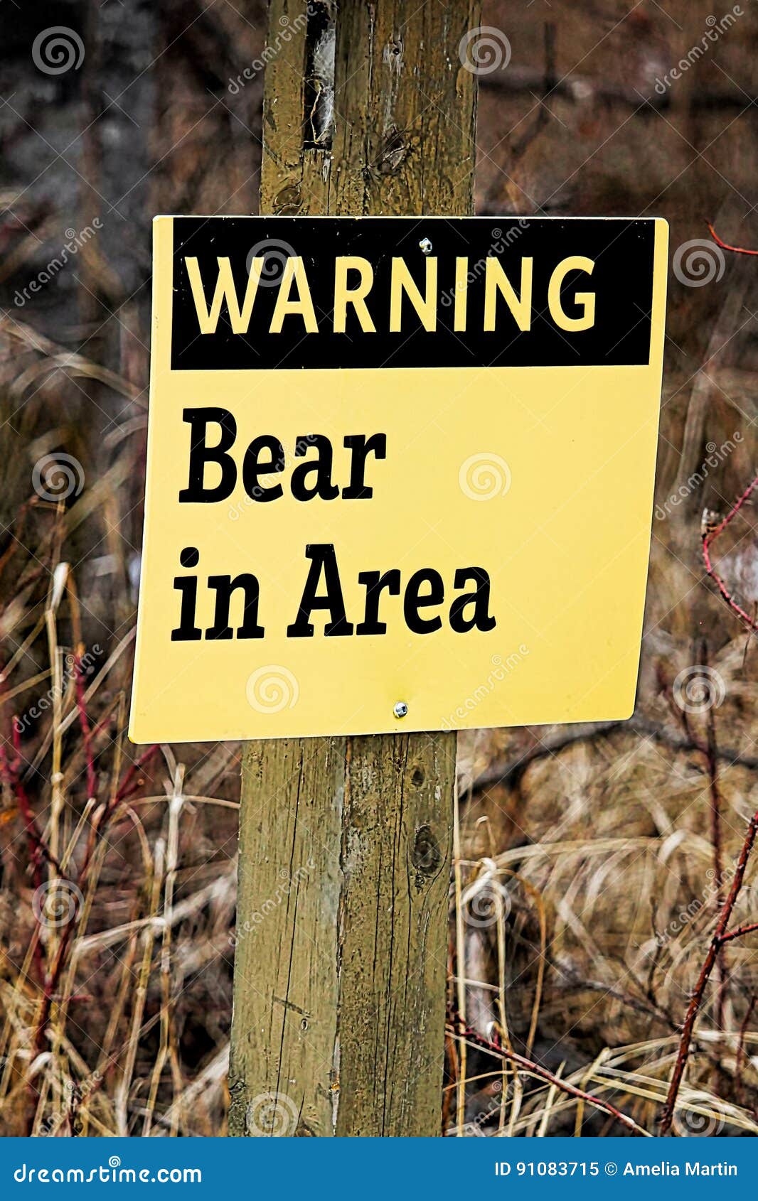 Warning Bear in Area sign stock image. Image of country - 91083715