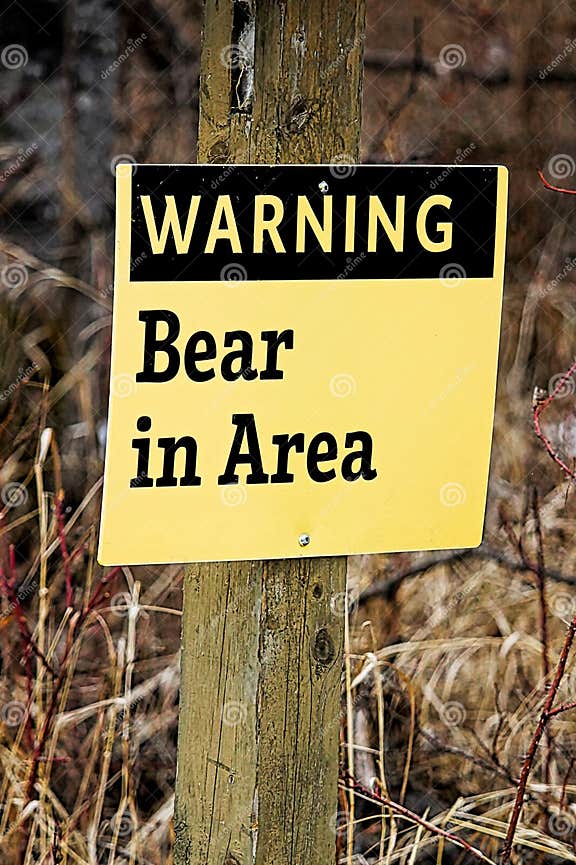 Warning Bear in Area sign stock image. Image of country - 91083715