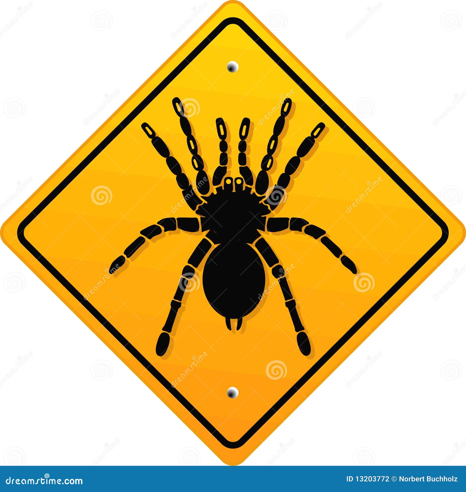 Warning bird spider stock vector. Illustration of tarantula - 13203772