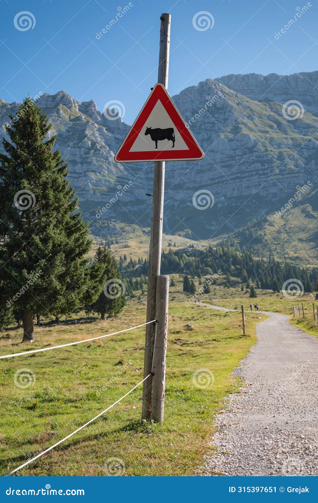 Warning Cow Sign and Cattle Hazard Stock Image - Image of symbol ...
