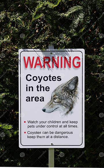 Warning, Coyotes in the Area in Park , Canada Stock Image - Image of ...