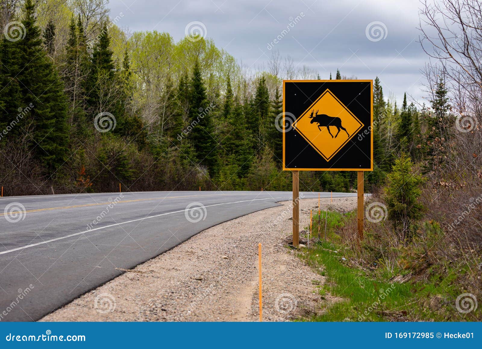 Warning of Moose Road Sign stock image. Image of moose - 169172985