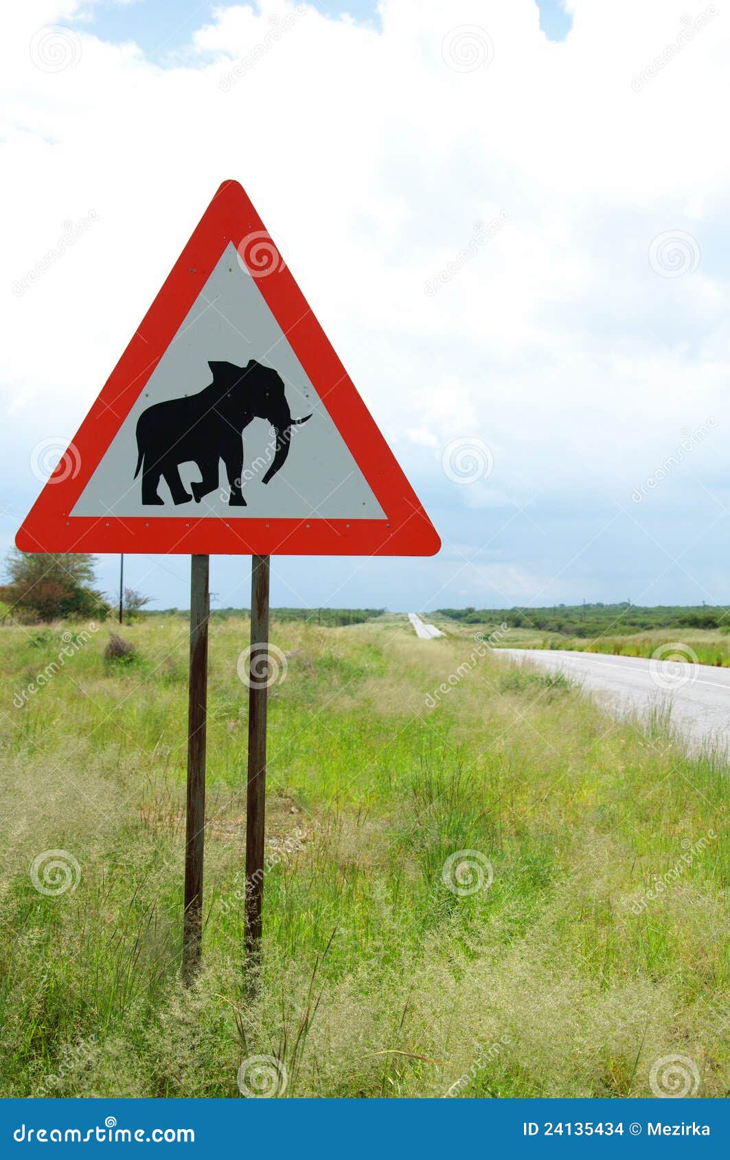 Warning of Road Sign - Elephants on the Road Stock Photo - Image of ...