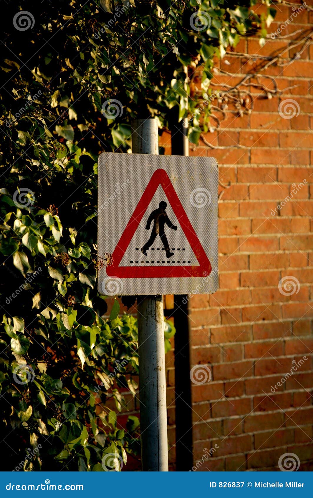 Warning Sign Picture. Image: 826837