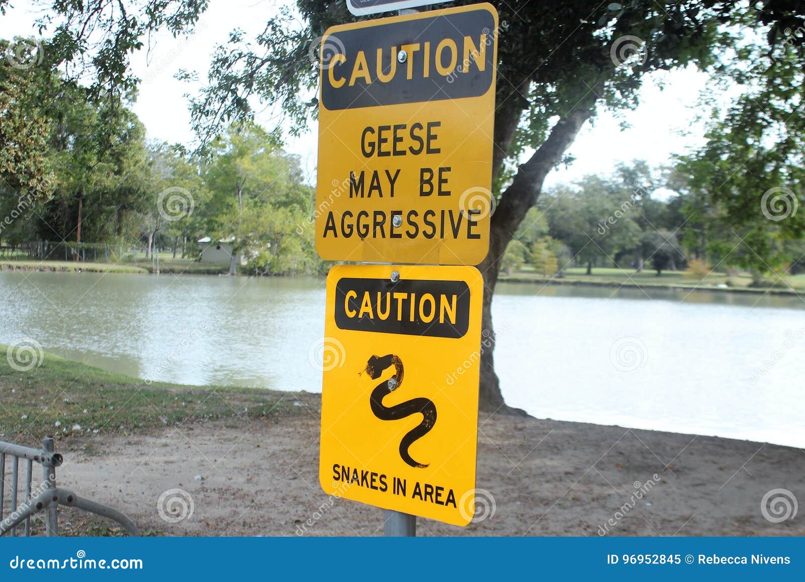 Warning Sign for Aggressive Geese and Snakes Stock Image - Image of ...