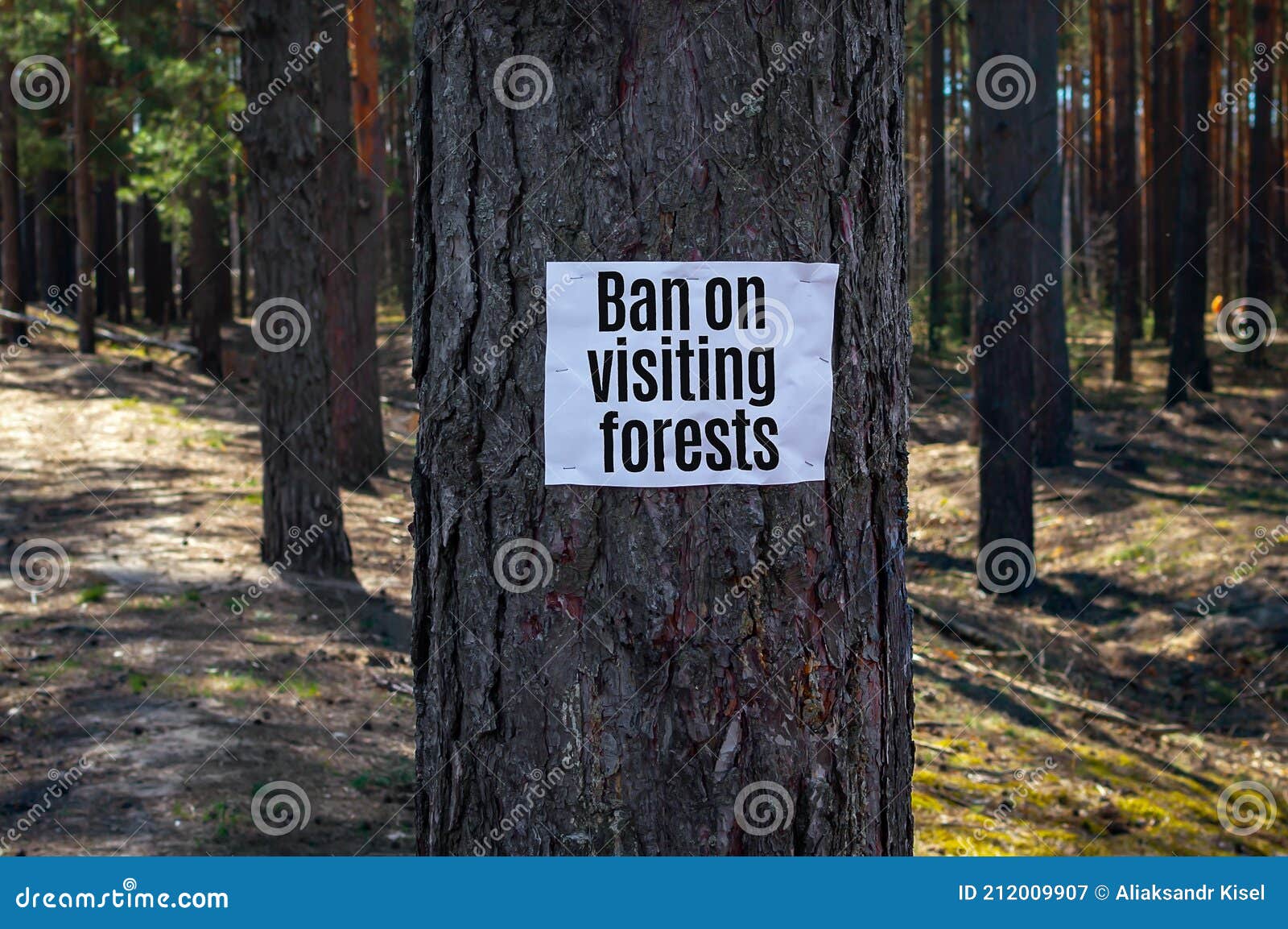A Warning Sign Attached To a Tree in the Forest- Ban on Visiting ...
