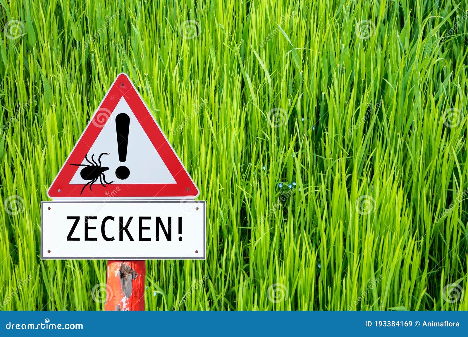 Warning Sign Attention Ticks Stock Image - Image of parasite, forest ...