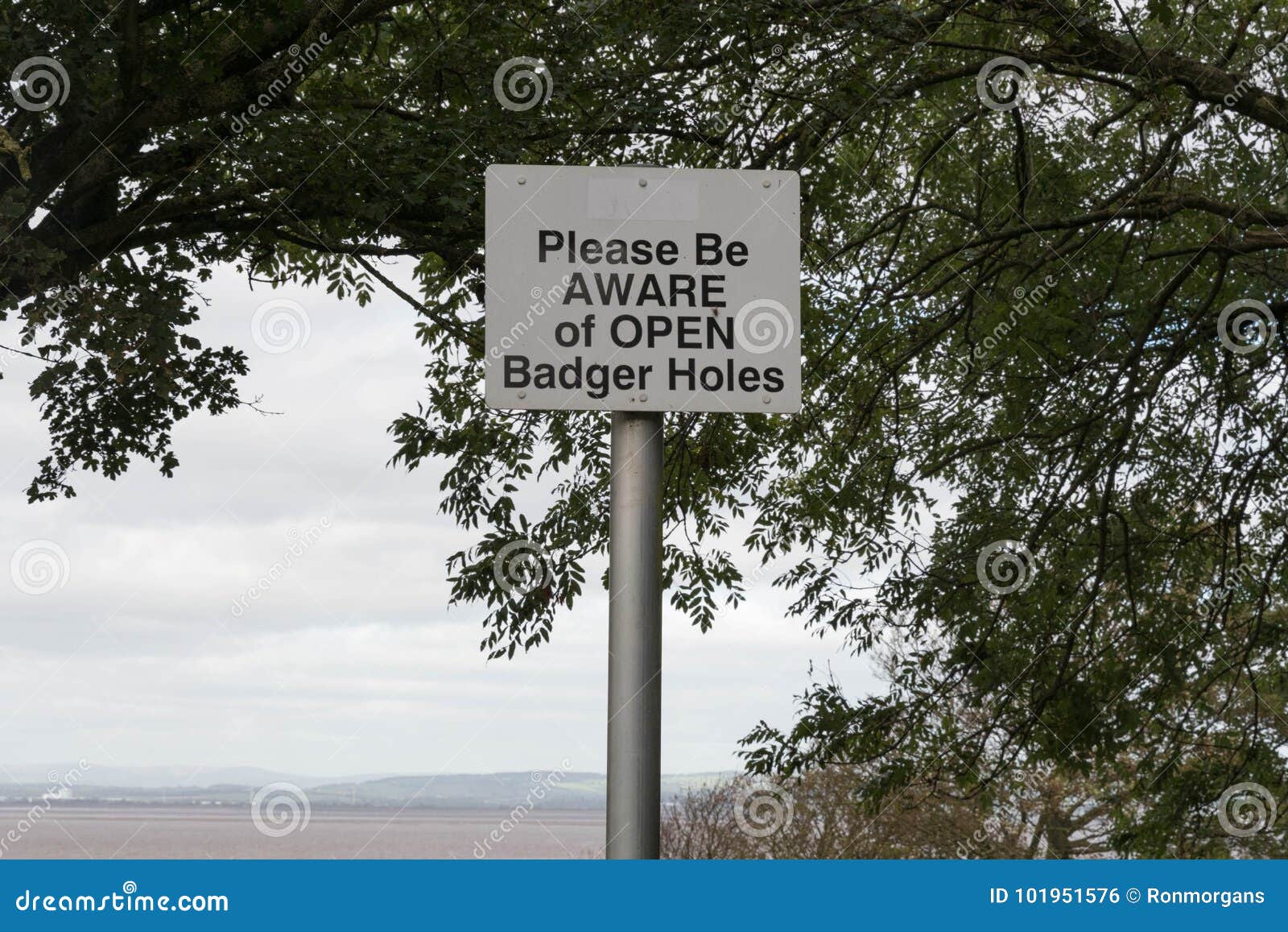 Warning sign for badgers stock photo. Image of holes - 101951576