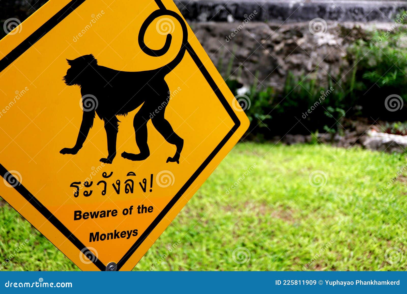Monkeys On The Sign. Stock Image | CartoonDealer.com #64259947