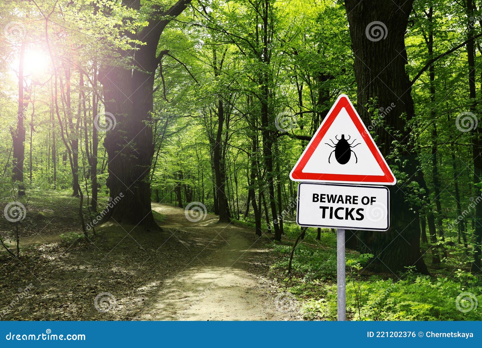 Beware Of Ticks Warning Sign On A Tree In The Forest Against A Blurred ...