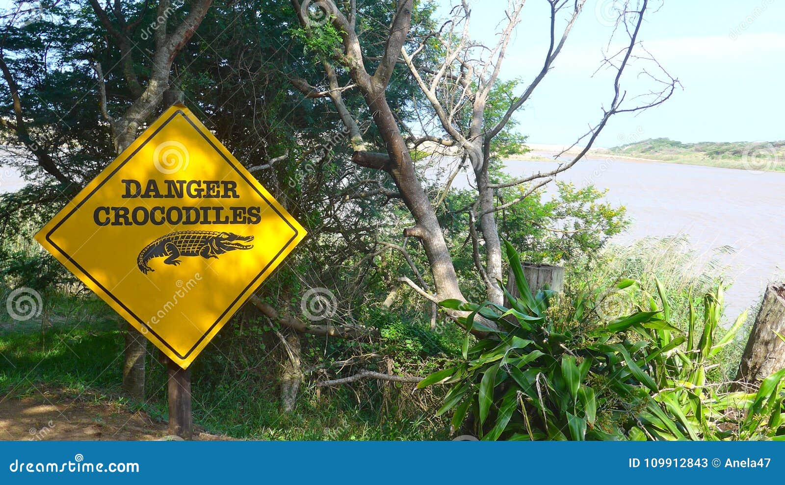 Warning Sign, Danger, Warning about Crocodiles Stock Image - Image of ...