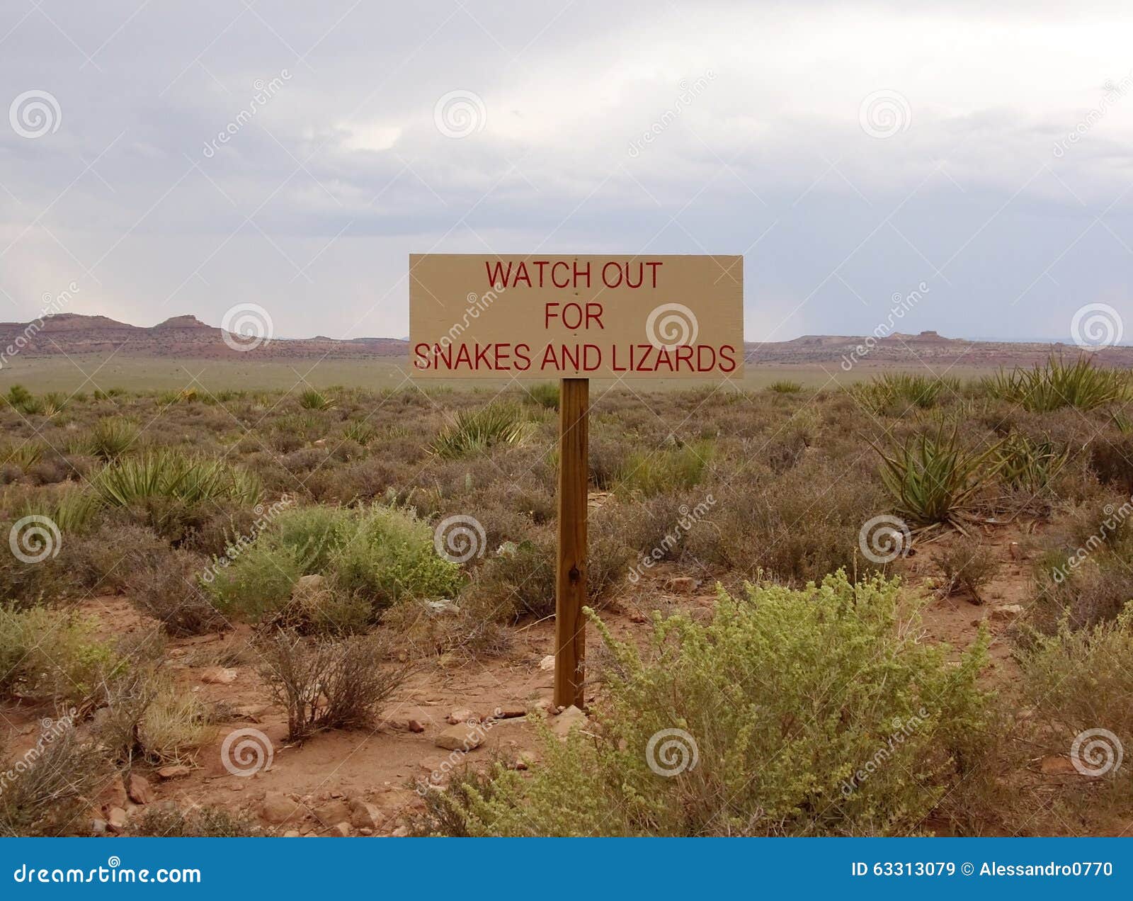 Warning sign in the desert stock image. Image of signboard - 63313079
