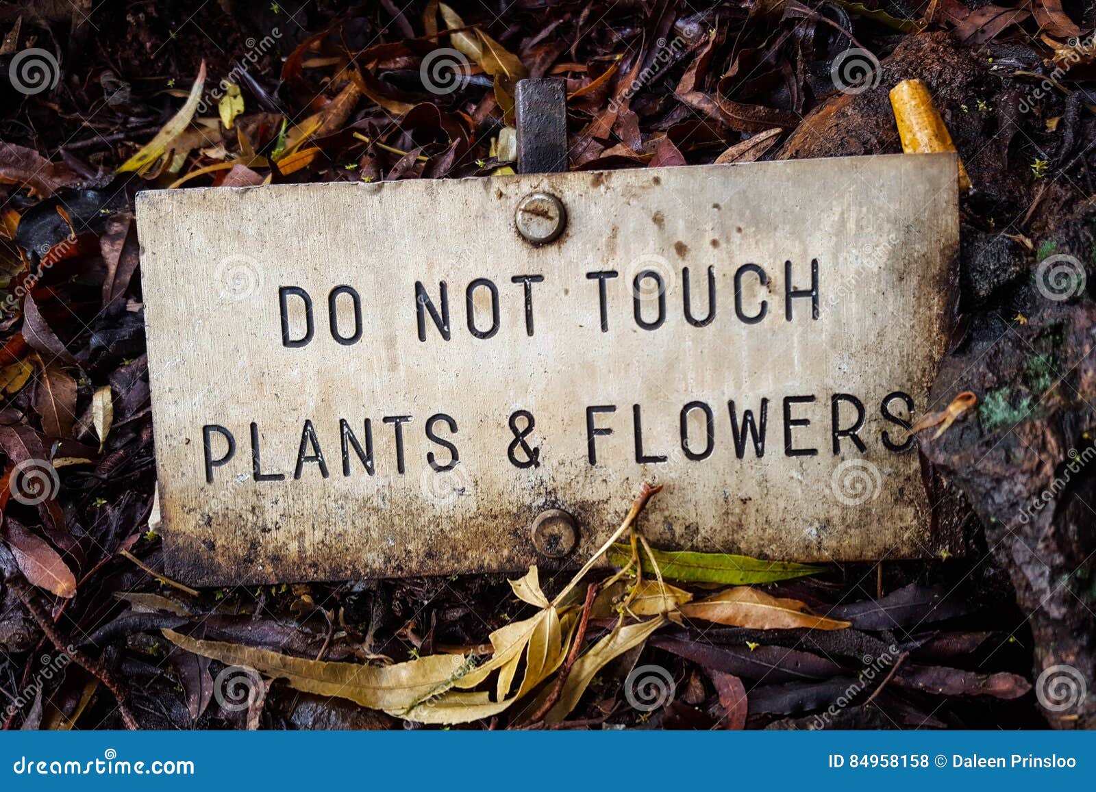 Do Not Touch Warning Sign Cartoon Vector | CartoonDealer.com #44982627 Do Not Touch Warning Sign Cartoon Vector | CartoonDealer.com #44982627