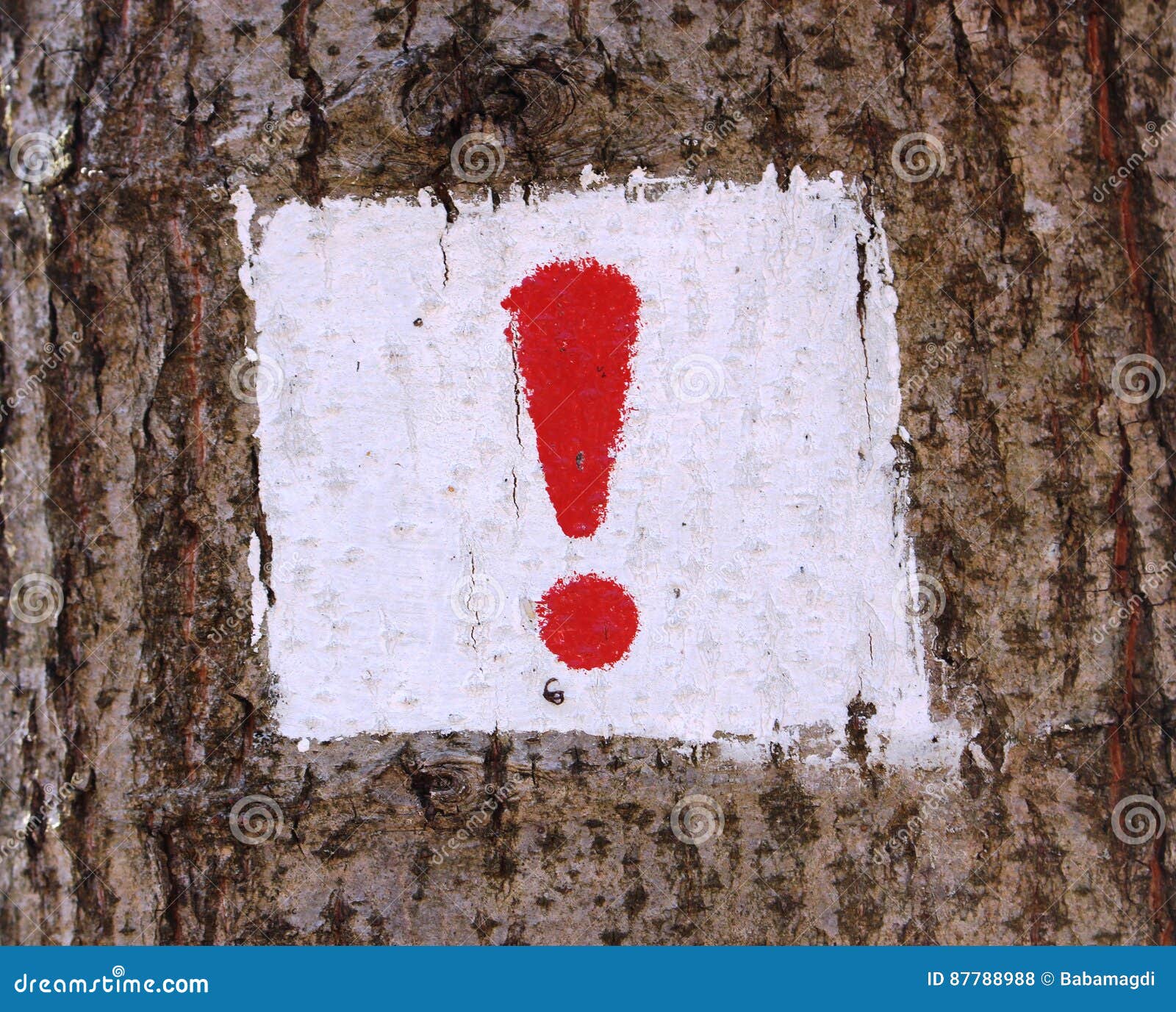 Warning Sign or Exclamation Mark on a Tree Stock Photo - Image of ...