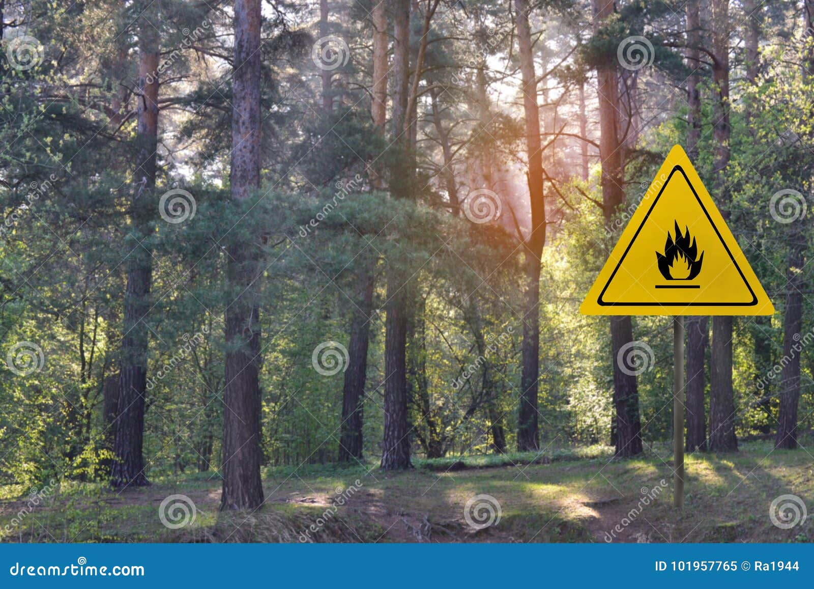 Warning Sign for Fire Danger in the Forest. Danger of Forest Fire Stock ...