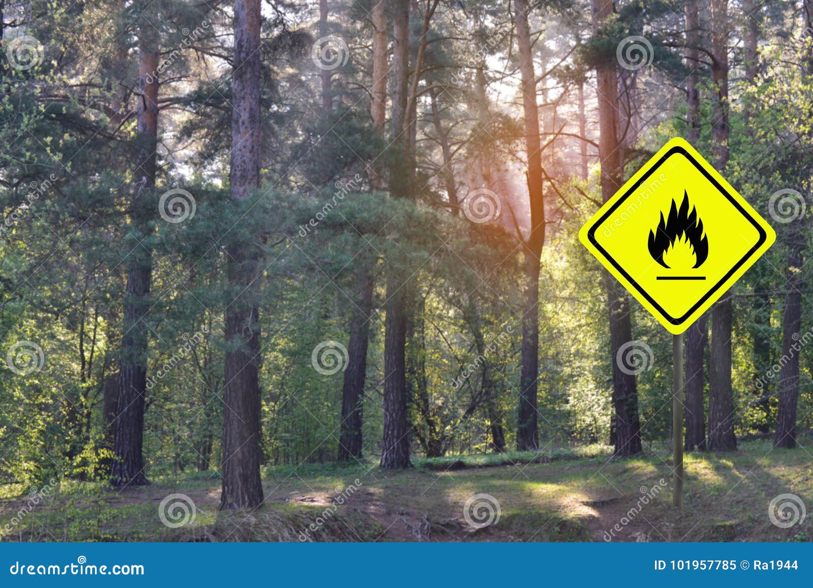 Warning Sign for Fire Danger in the Forest. Danger of Forest Fire Stock ...