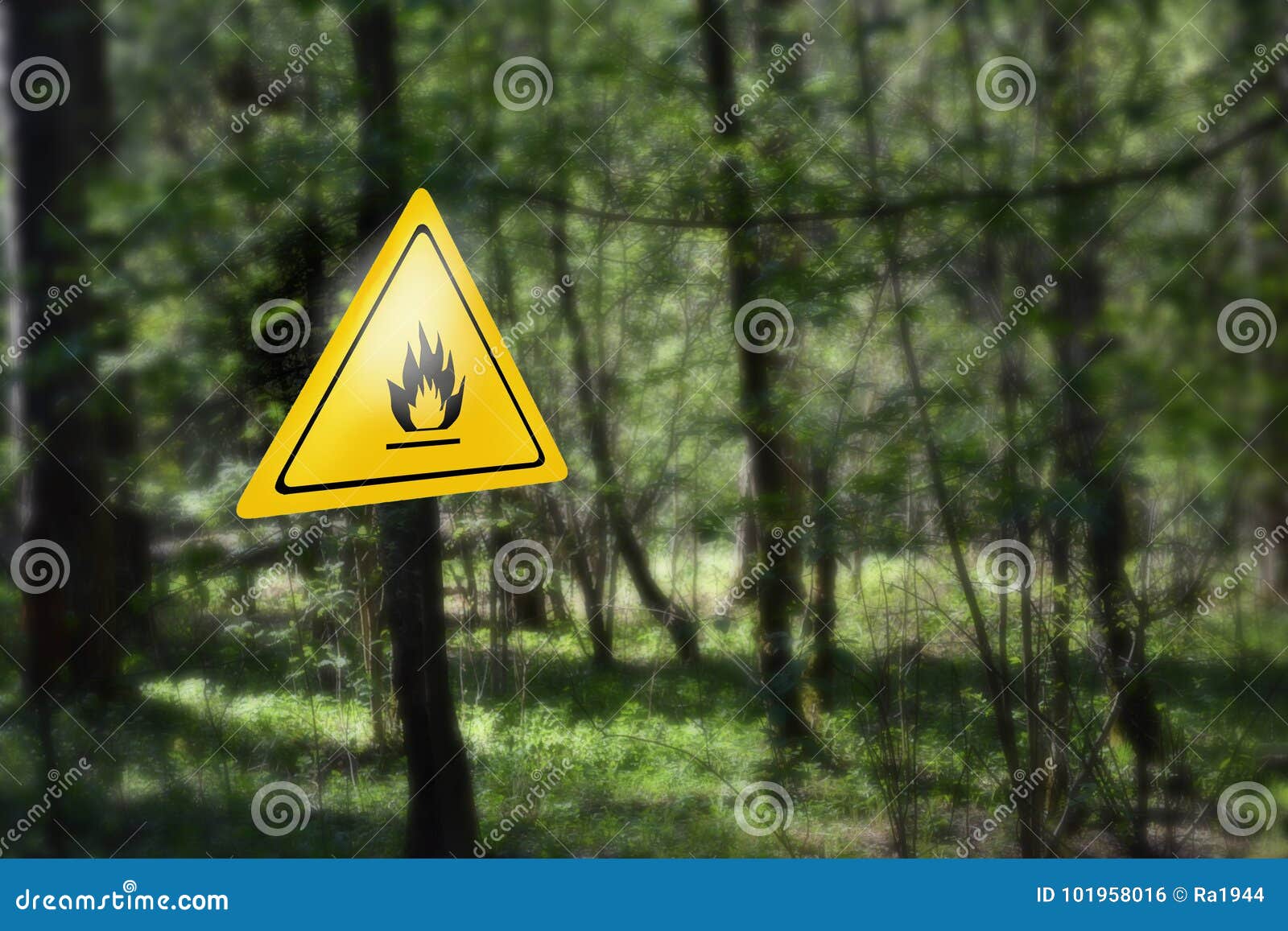 Warning Sign for Fire Danger in the Forest. Danger of Forest Fire Stock ...