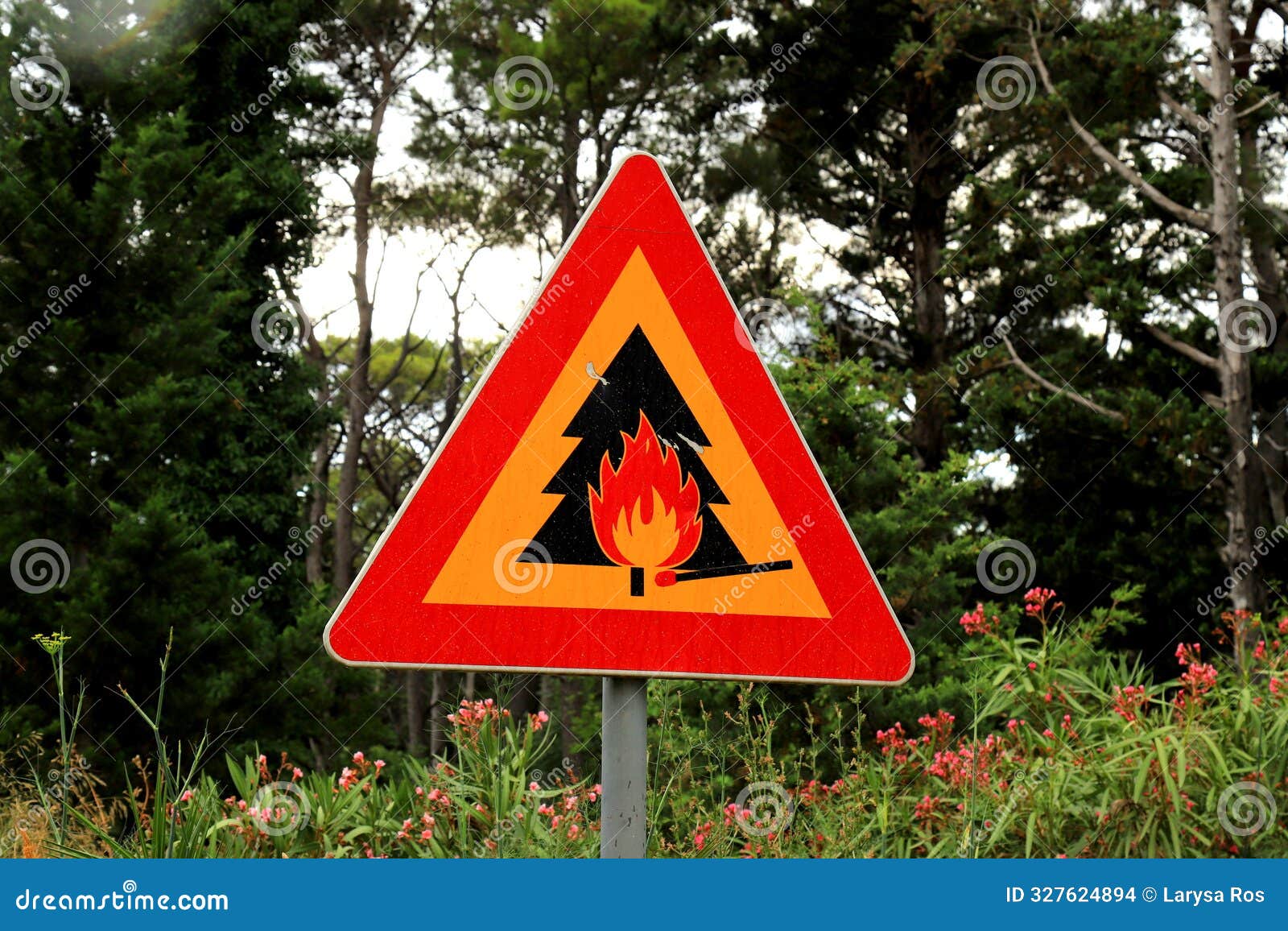 Warning Sign - Forest Fire Danger, Dry Forest, Drought Stock Photo ...