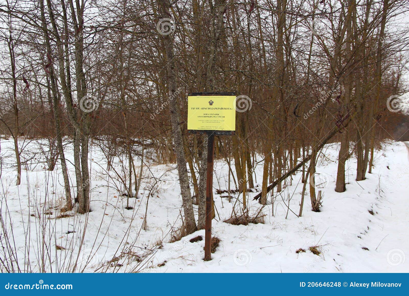 Warning Sign in Forest in Russian Stock Photo - Image of light, rodent ...