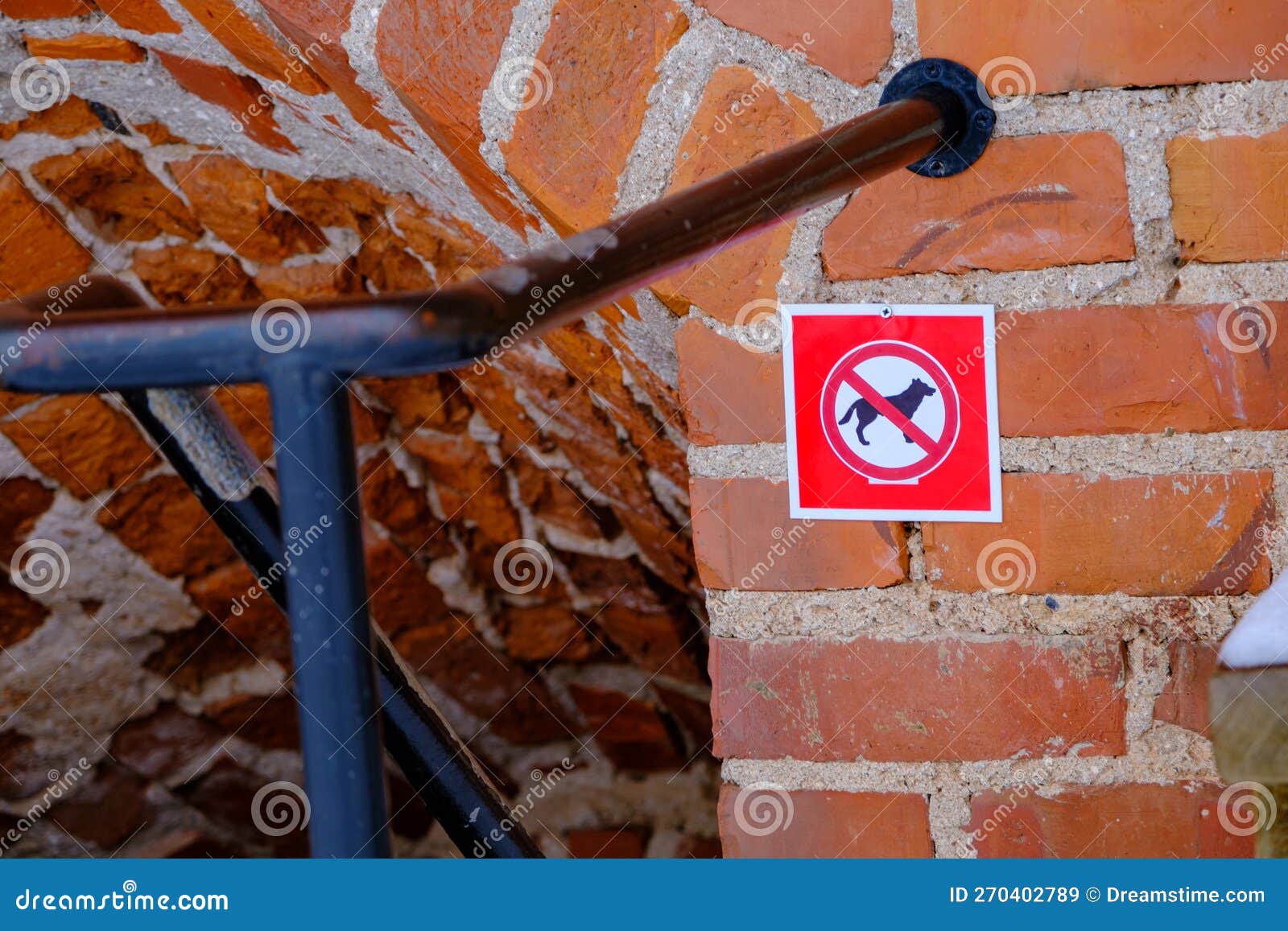 Warning Sign at the Front Door of the Building. Dogs Prohibited Stock ...