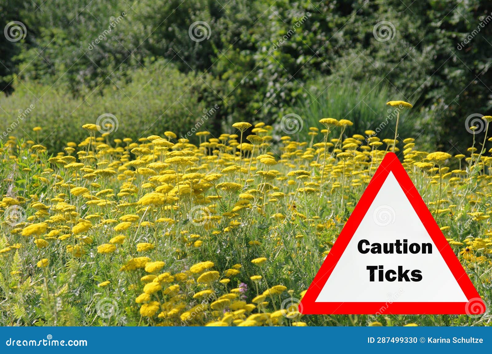Warning Sign for Infected Ticks in a Forest. Risk of Tick and Lyme ...