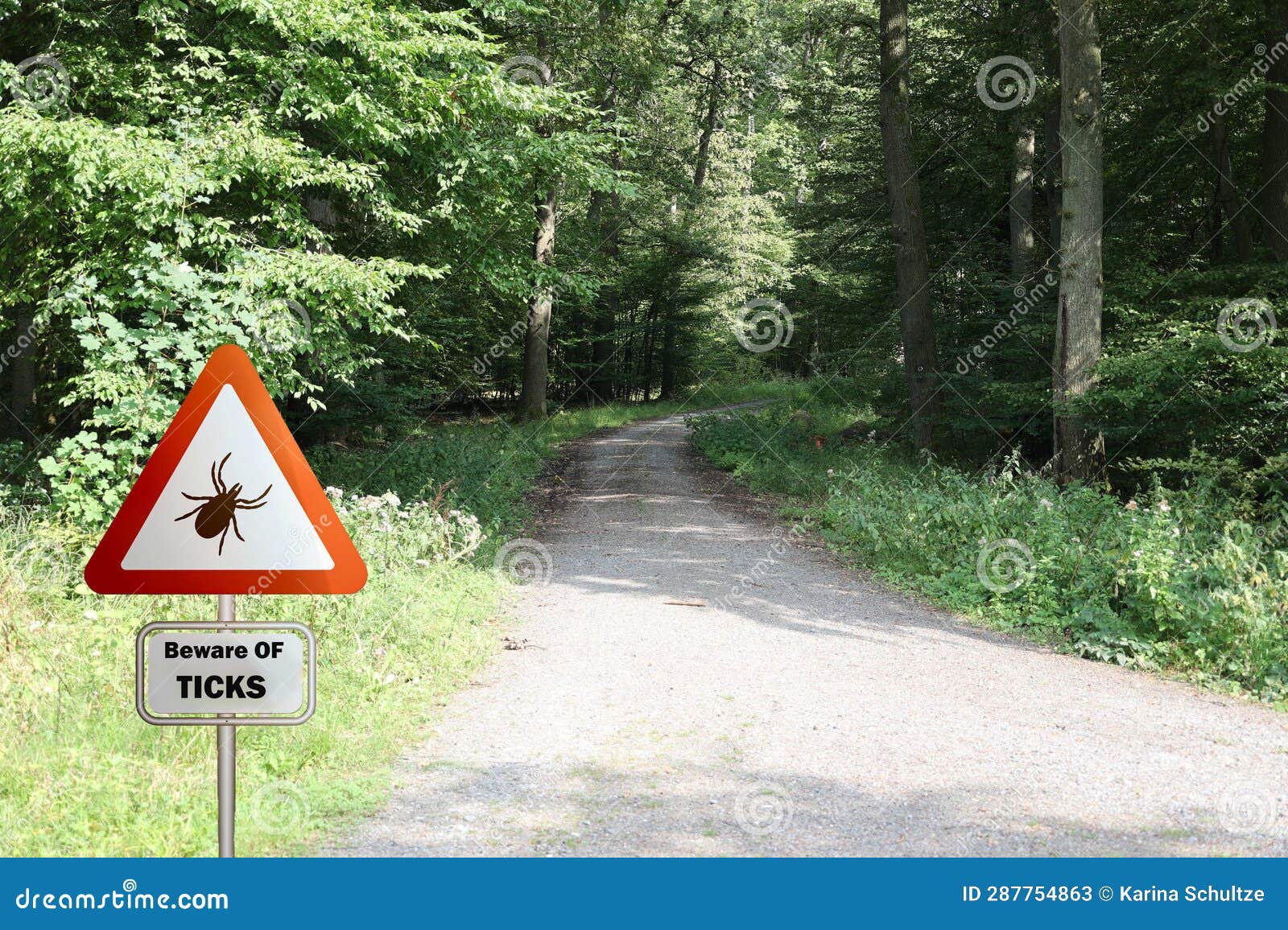 Warning Sign for Infected Ticks in a Forest. Risk of Tick and Lyme ...