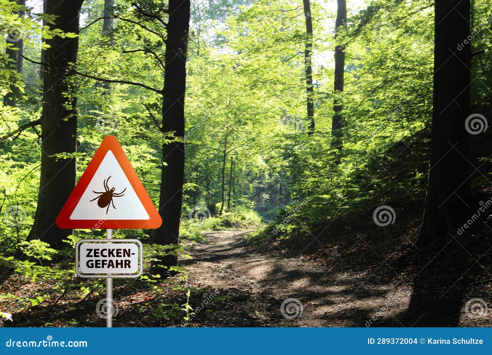 Warning Sign for Infected Ticks in a Forest. Risk of Tick and Lyme ...