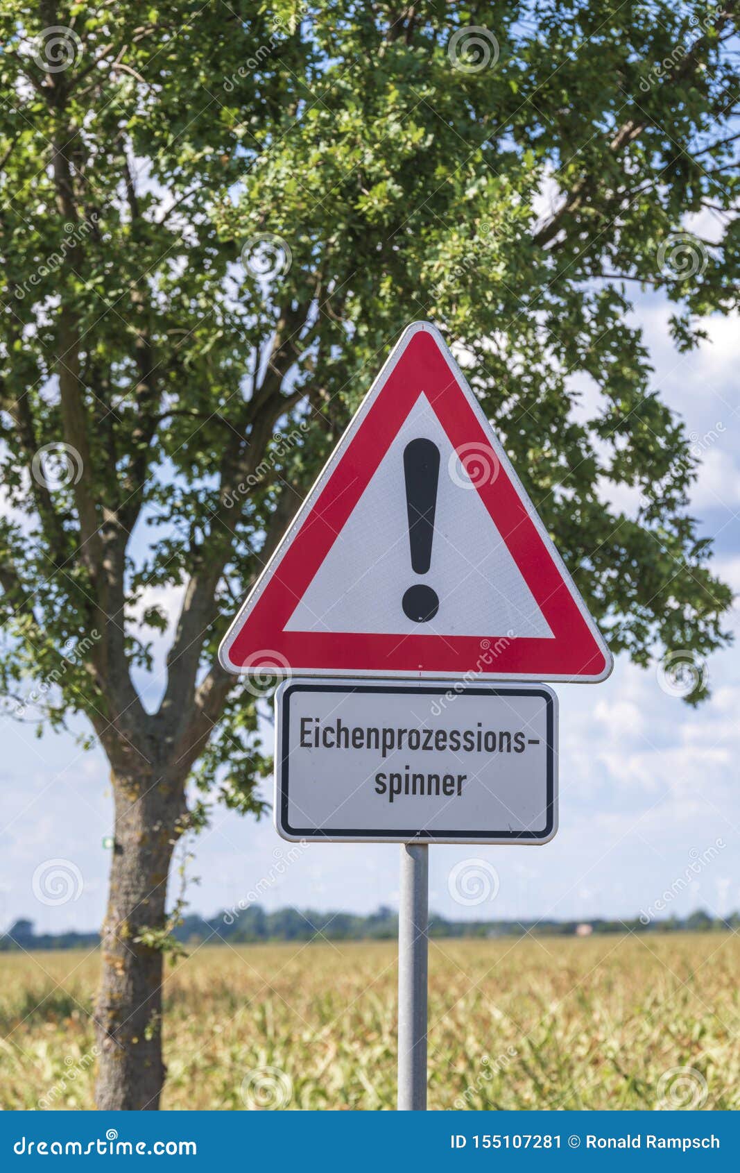 Warning Sign with the Inscription Oak Processionary Moth Stock Image ...