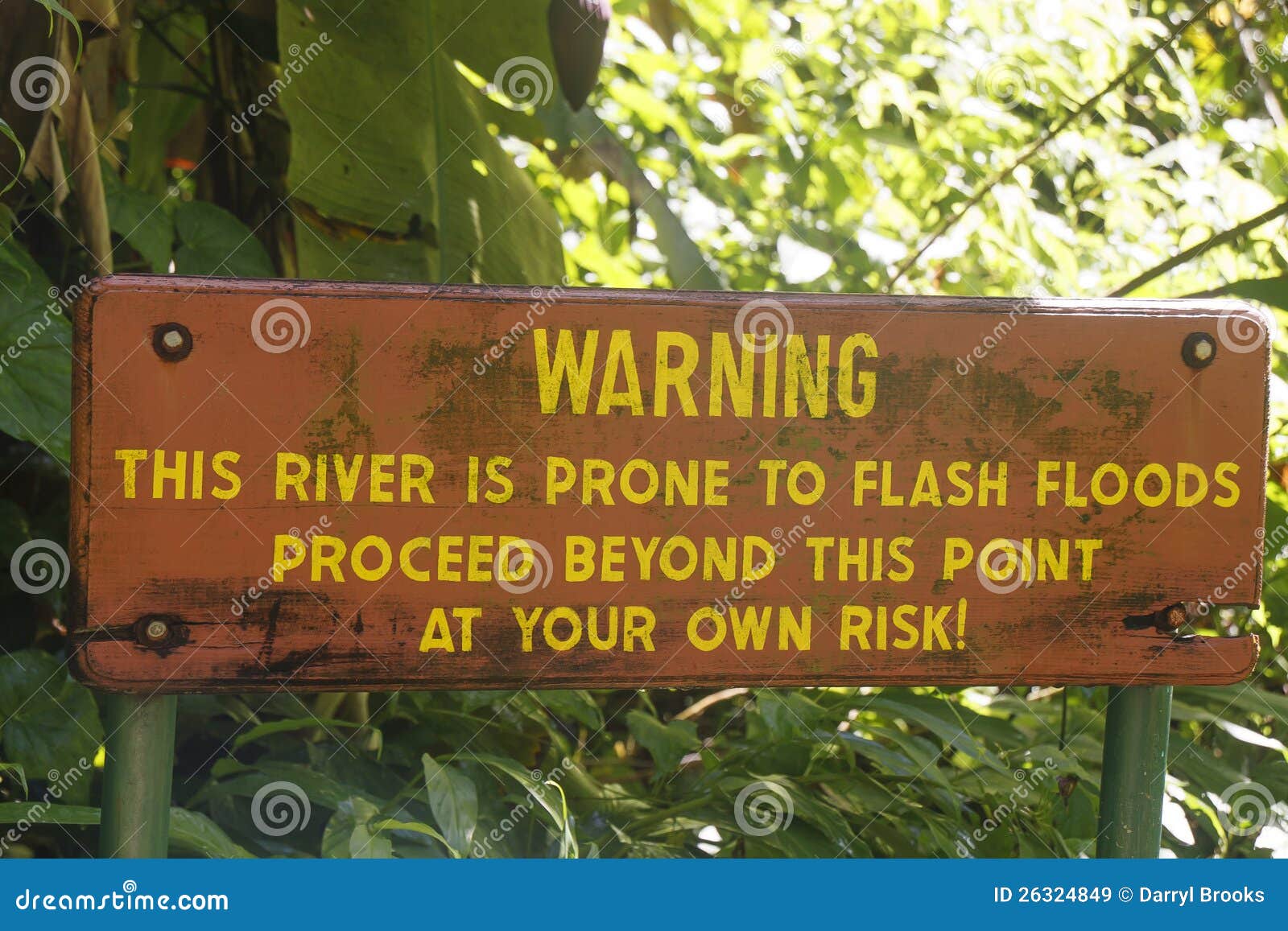 Warning Sign at Jungle River Stock Image - Image of green, tropics ...