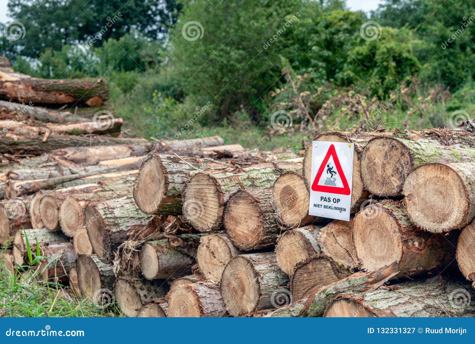 Warning Sign with Pushpins Attached on a Stacked Thick Tree Trunks with ...