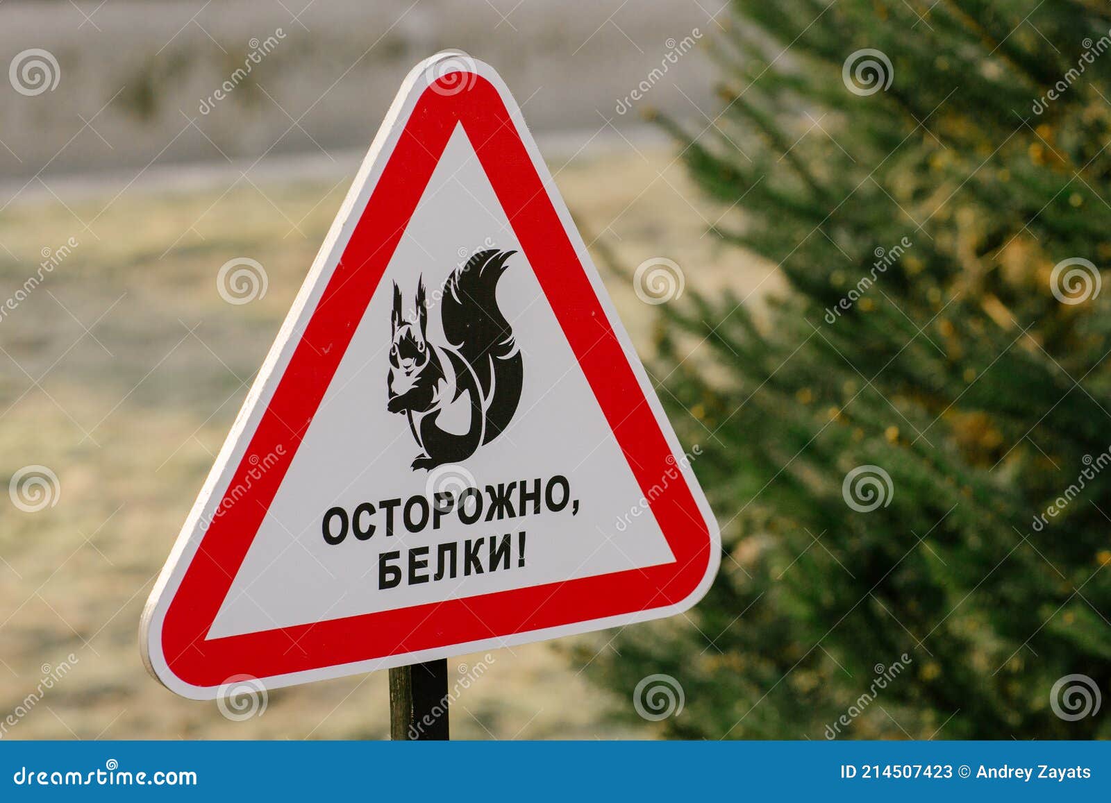 Squirrel Warning Sign Royalty-Free Stock Photography | CartoonDealer ...