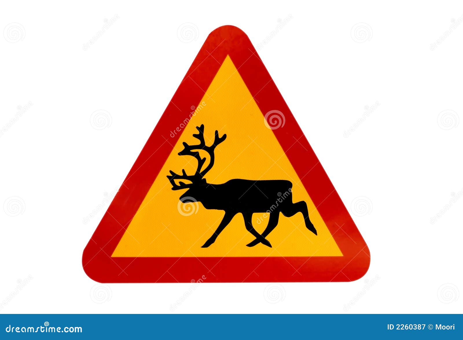 Warning sign for reindeers stock image. Image of crossing - 2260387