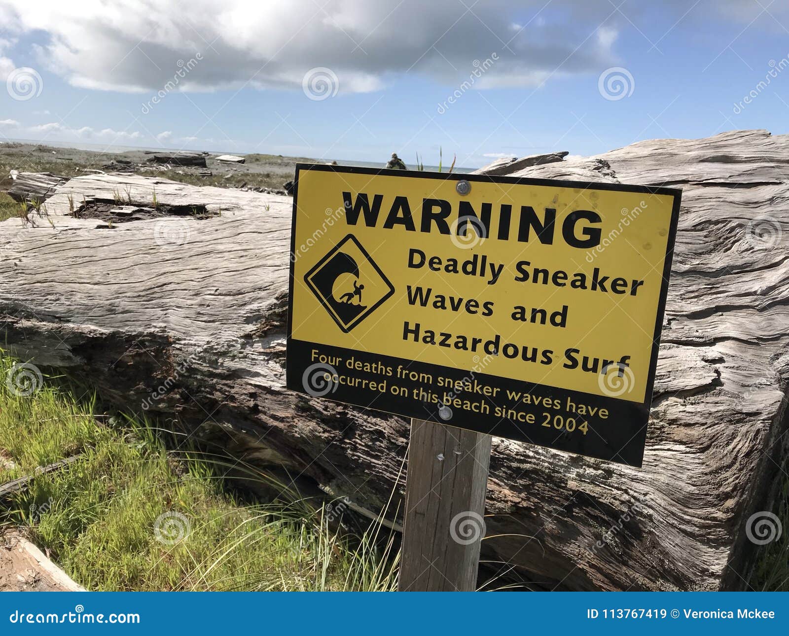 Warning stock image. Image of becareful, danger, beach - 113767419
