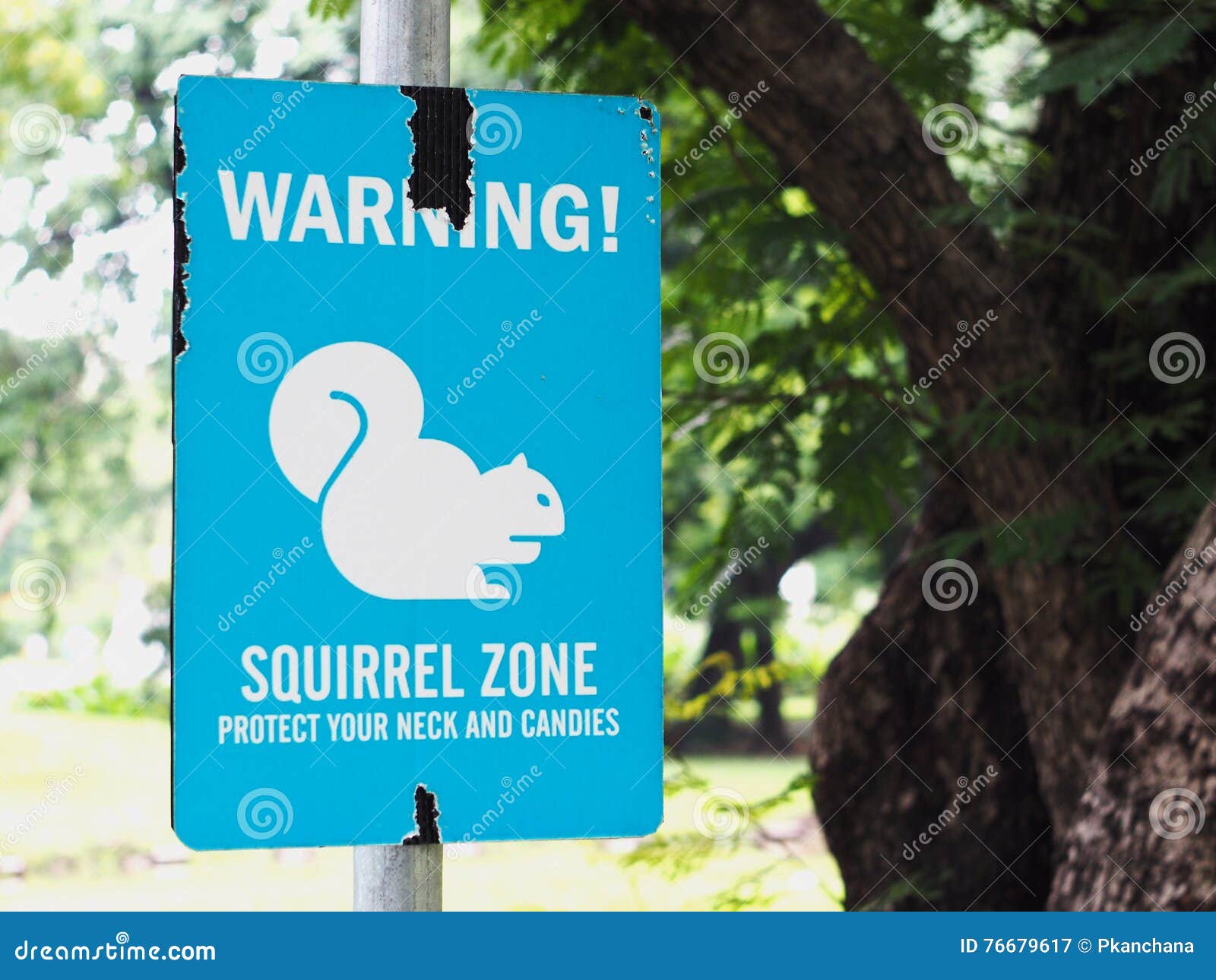 Squirrel Warning Sign Royalty-Free Stock Photography | CartoonDealer ...