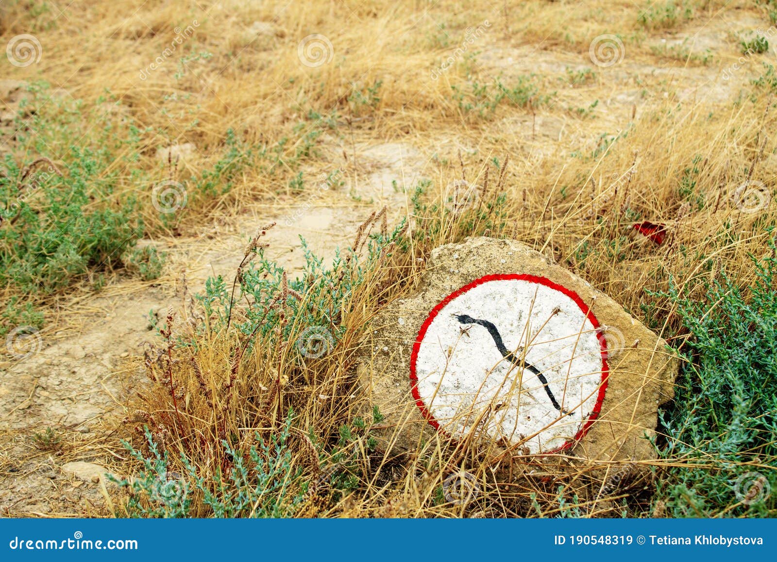 Warning Sign on a Stone Near the Path. Snake Shape Inside the Red ...