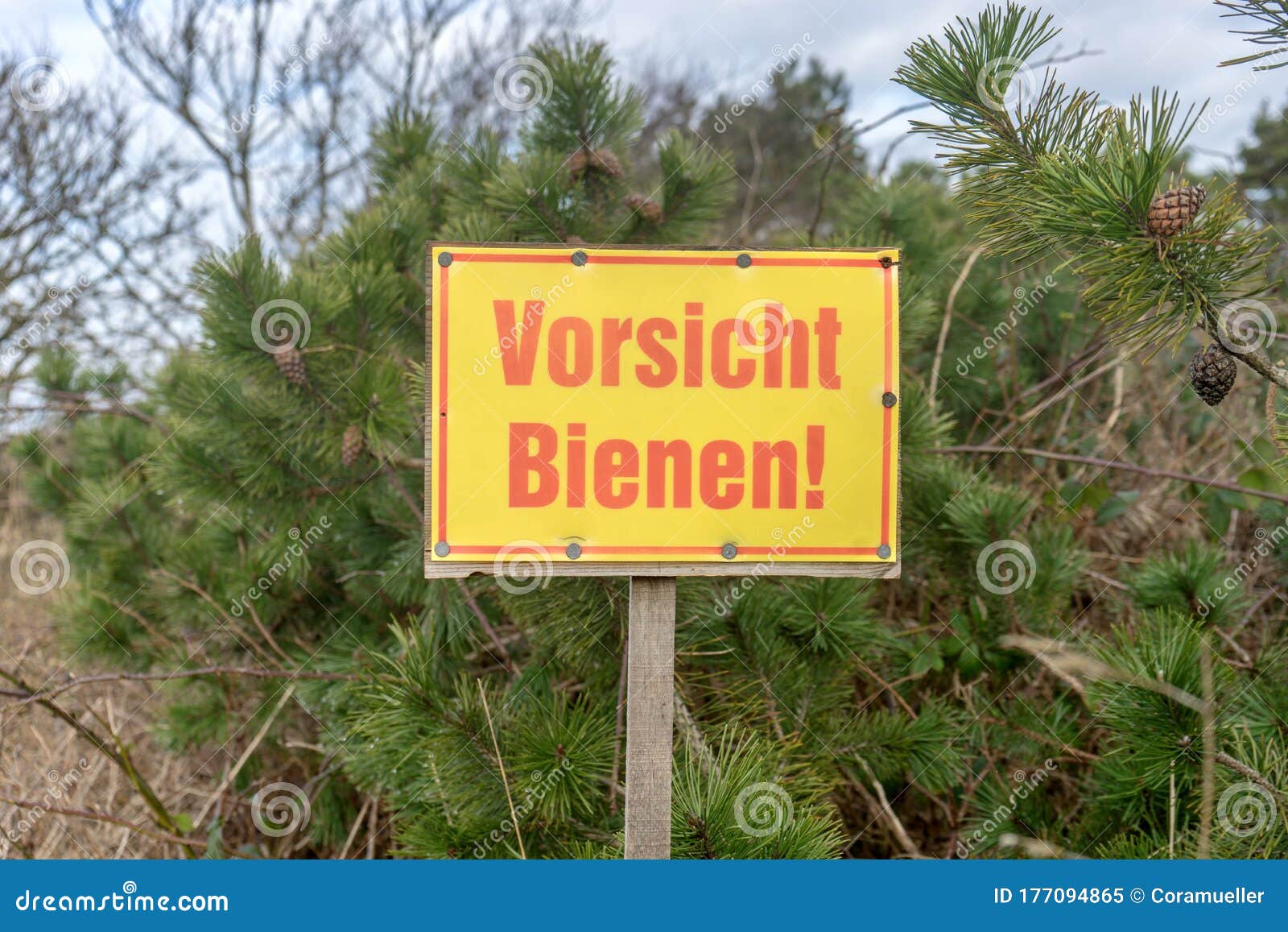 Warning Sign in Text: Beware of Bees Stock Image - Image of beekeeping ...