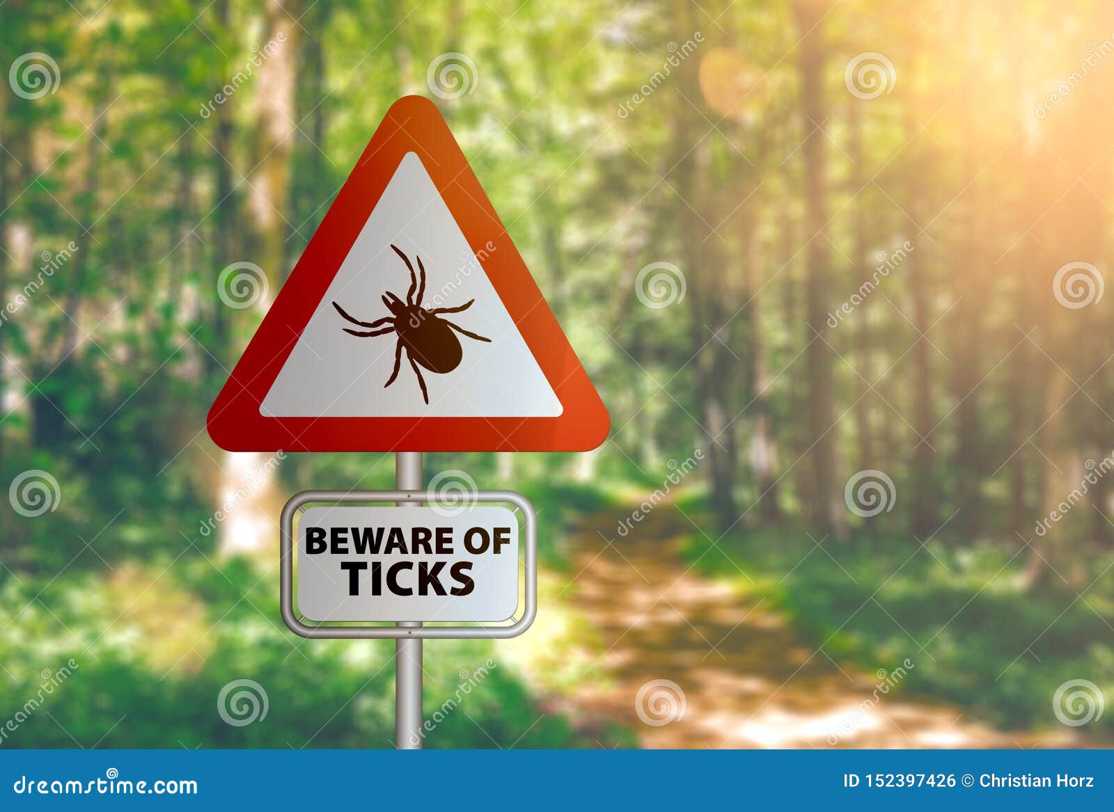 Beware Of Ticks Warning Sign On A Tree In The Forest Against A Blurred ...