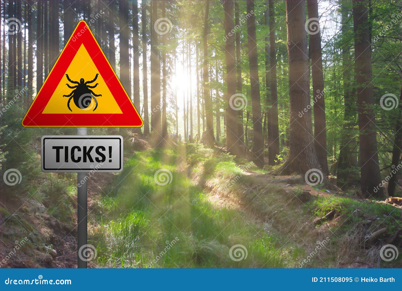 Warning sign `ticks` stock image. Image of bite, alert - 211508095
