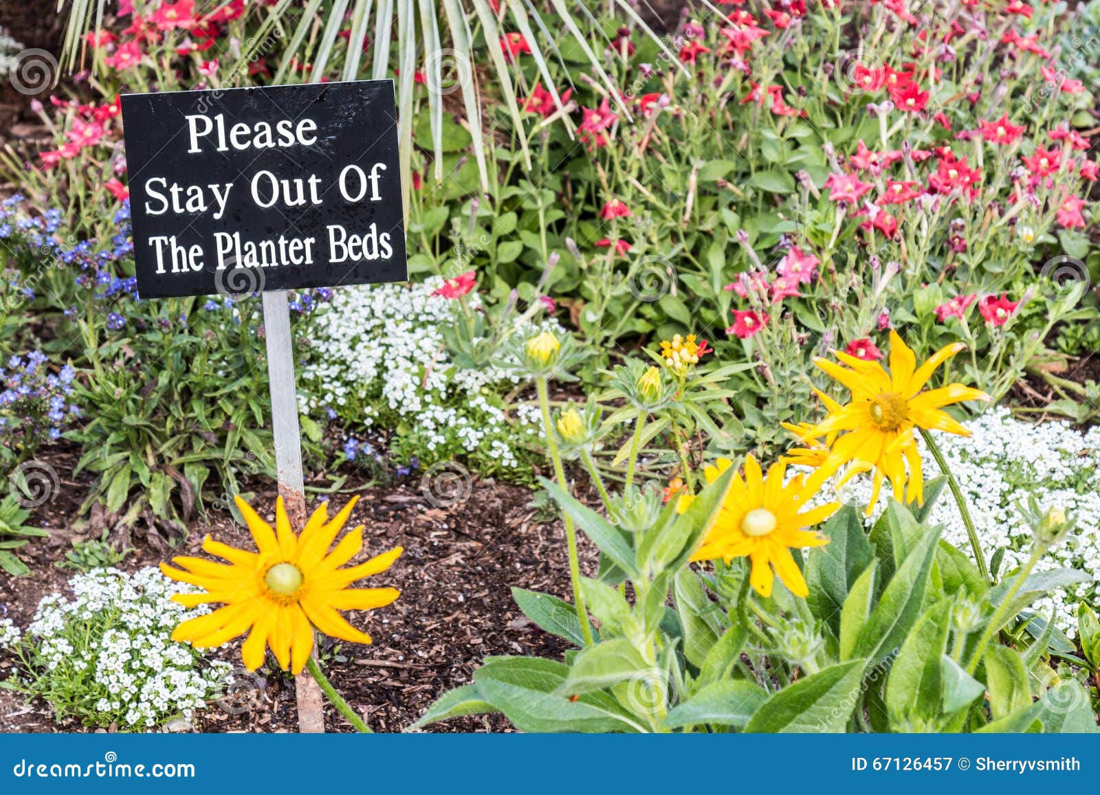 Warning Sign To Stay Out of Flower Bed. Stock Image - Image of ...