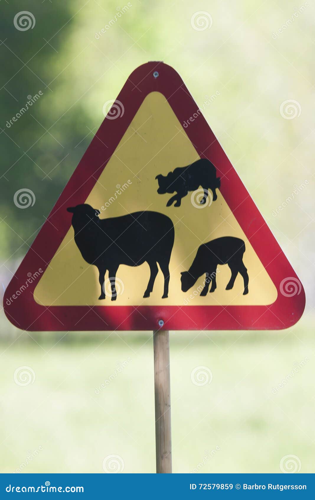 Warning sign stock image. Image of warning, herds, sign - 72579859